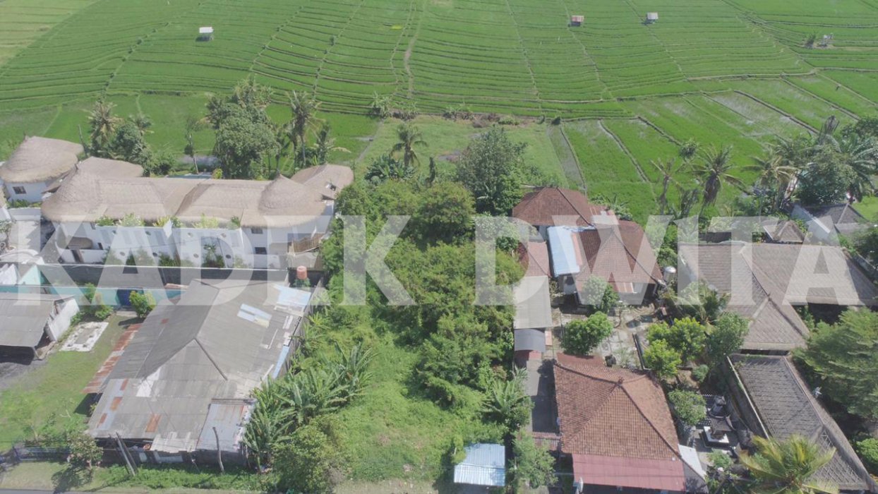 [Dijual] Tanah jalan raya babakan canggu view sawah jalur hijau | IDRumah