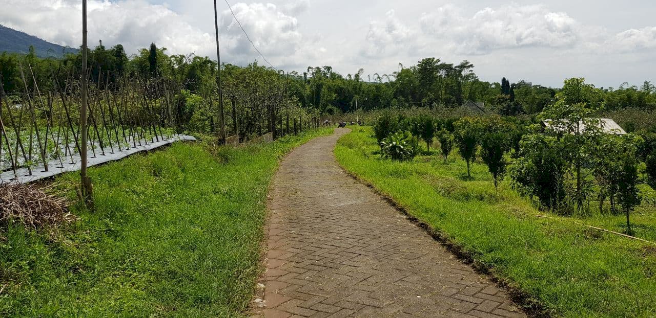 [Dijual] Tanah Hunian View Istimewa di Dataran Tinggi Sumbergondo Batu ...