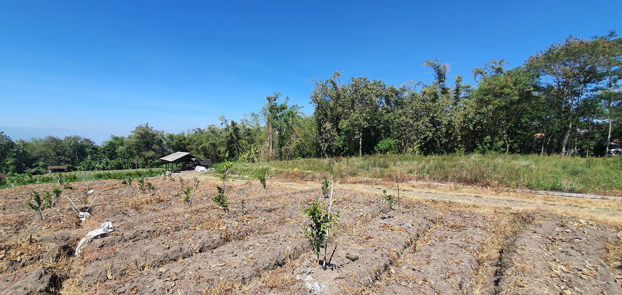 [Dijual] Tanah istimewa strategis berlokasi pusat wisata dan ...