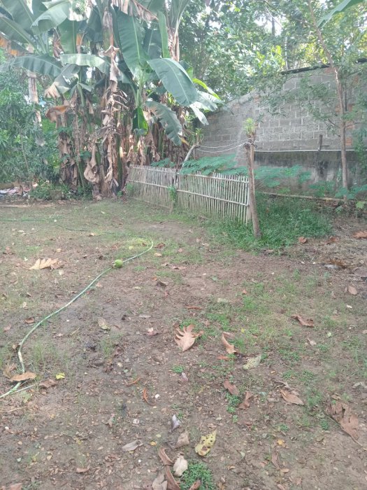 DI JUAL LAHAN TANAH LUAS 100 m² | IDRumah