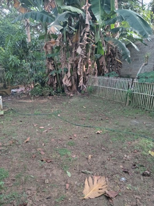 DI JUAL LAHAN TANAH LUAS 100 m² | IDRumah